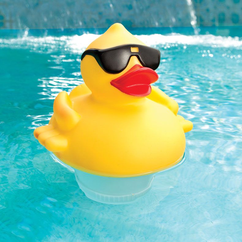 derby ducky | Leisure World Pools and Spas